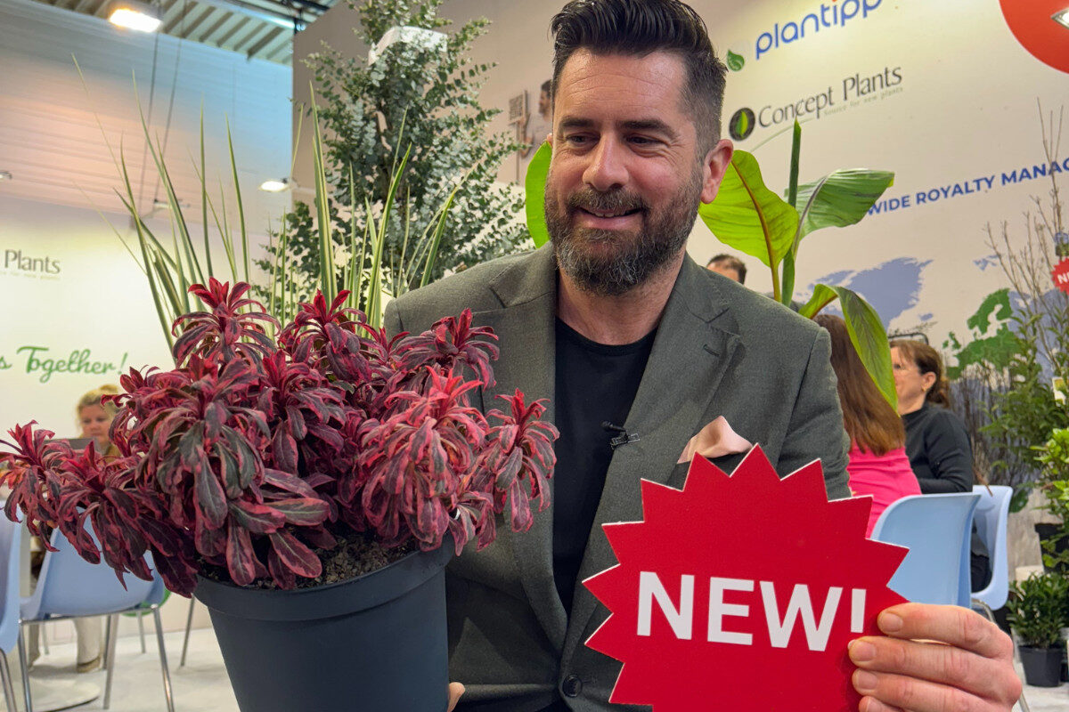 Ten pleasing new plant picks - Amateur Gardening