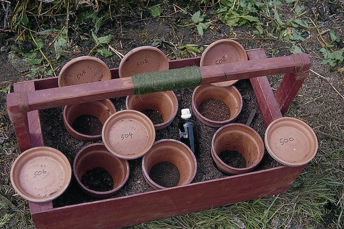 Introducing biodynamic gardening - Amateur Gardening