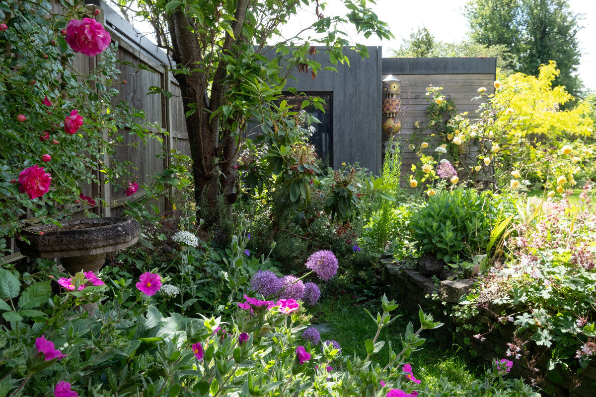 News: First report shows the importance of gardens - Amateur Gardening