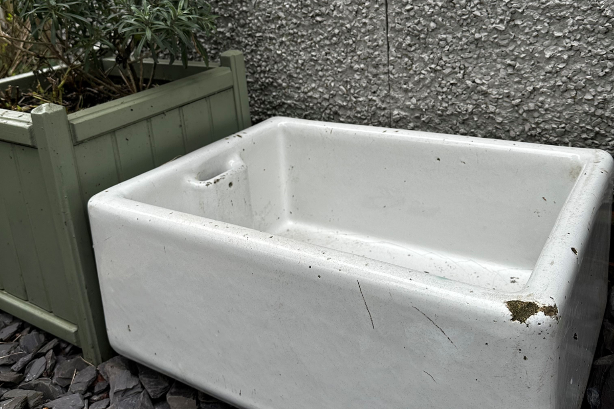 How to make a wildlife-attracting water feature - Amateur Gardening