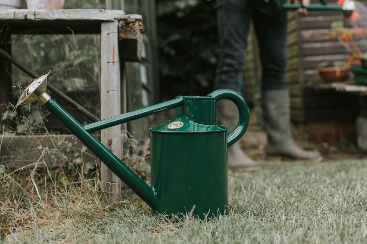 How to take the strain out of watering - Amateur Gardening