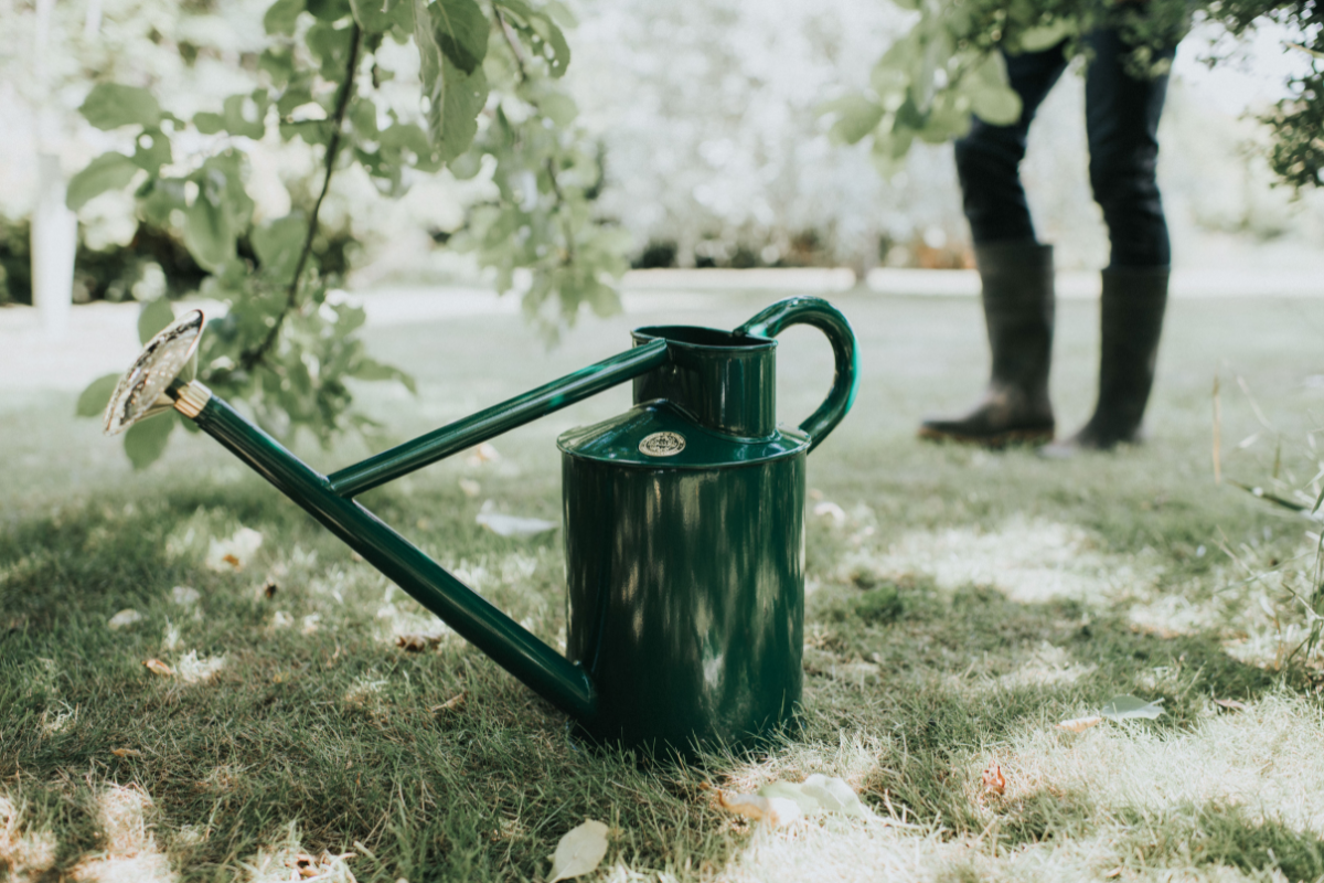 How to take the strain out of watering - Amateur Gardening