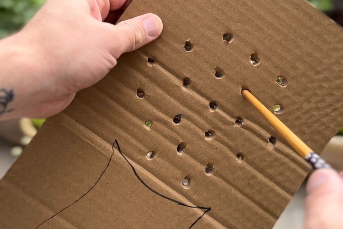 How to make a cardboard vase - Amateur Gardening