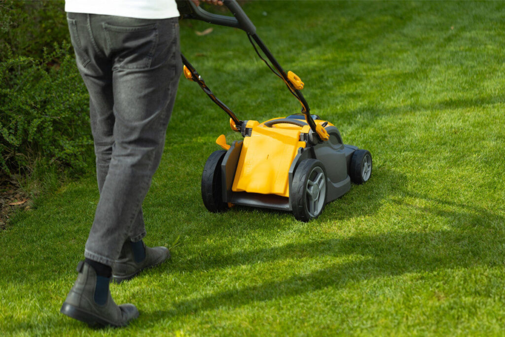 Summer lawn care tips - Amateur Gardening