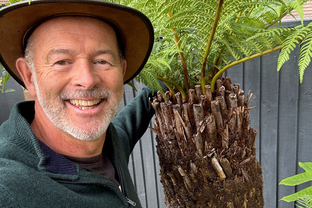 8 terrific trees for tiny spaces - Amateur Gardening