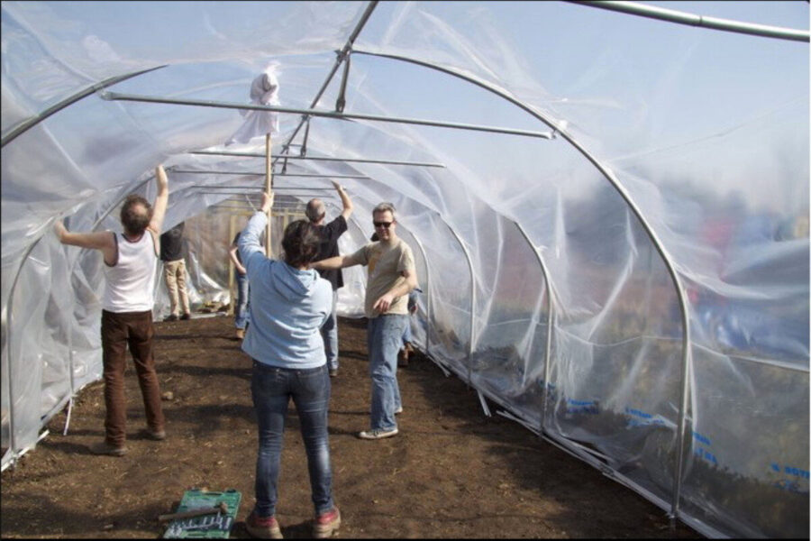 How to get your polytunnel going - Amateur Gardening