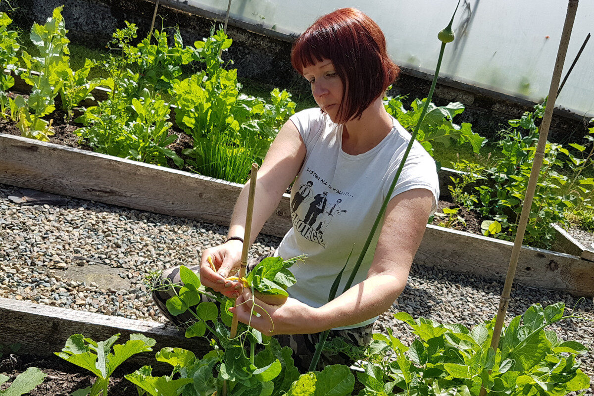 Easy veg patch rewards - Amateur Gardening